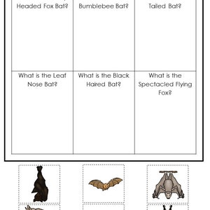 30 Bats Printable Preschool Educational Games Download. Games and ...