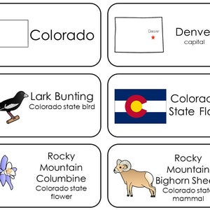 300 State Symbols Printable Flashcards. State, Capital, Flower, Mammal ...