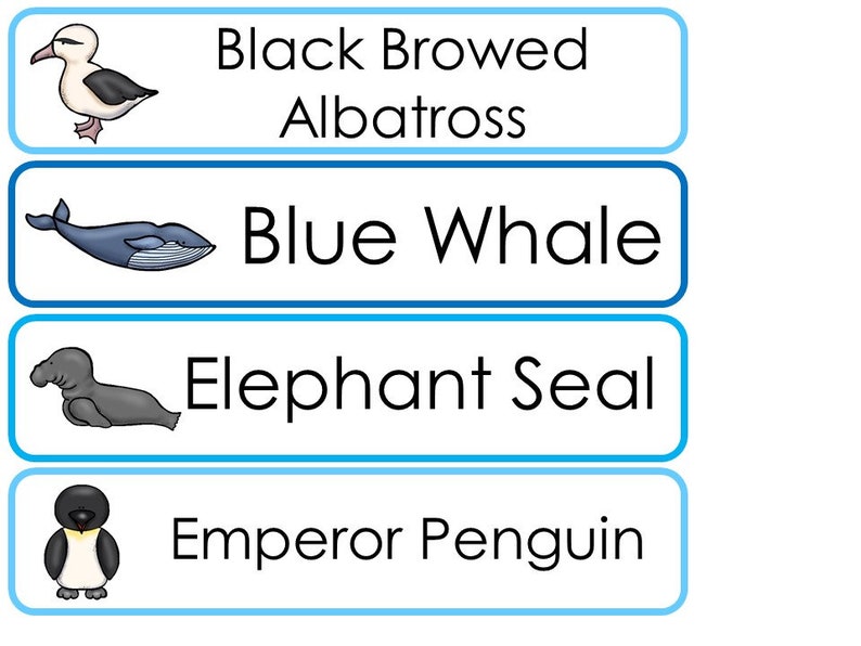 Antarctic Animals Word Wall Set, Preschool Classroom Decor (PDF Pattern ...