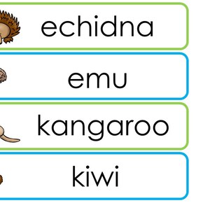 Australian Animals Single Week Themed Word Wall Set. Classroom Bulletin ...