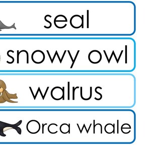 Arctic Animals Single Week Themed Word Wall Set. Classroom Bulletin ...