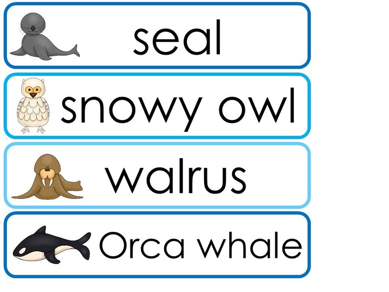 Arctic Animals Single Week Themed Word Wall Set. Classroom Bulletin ...