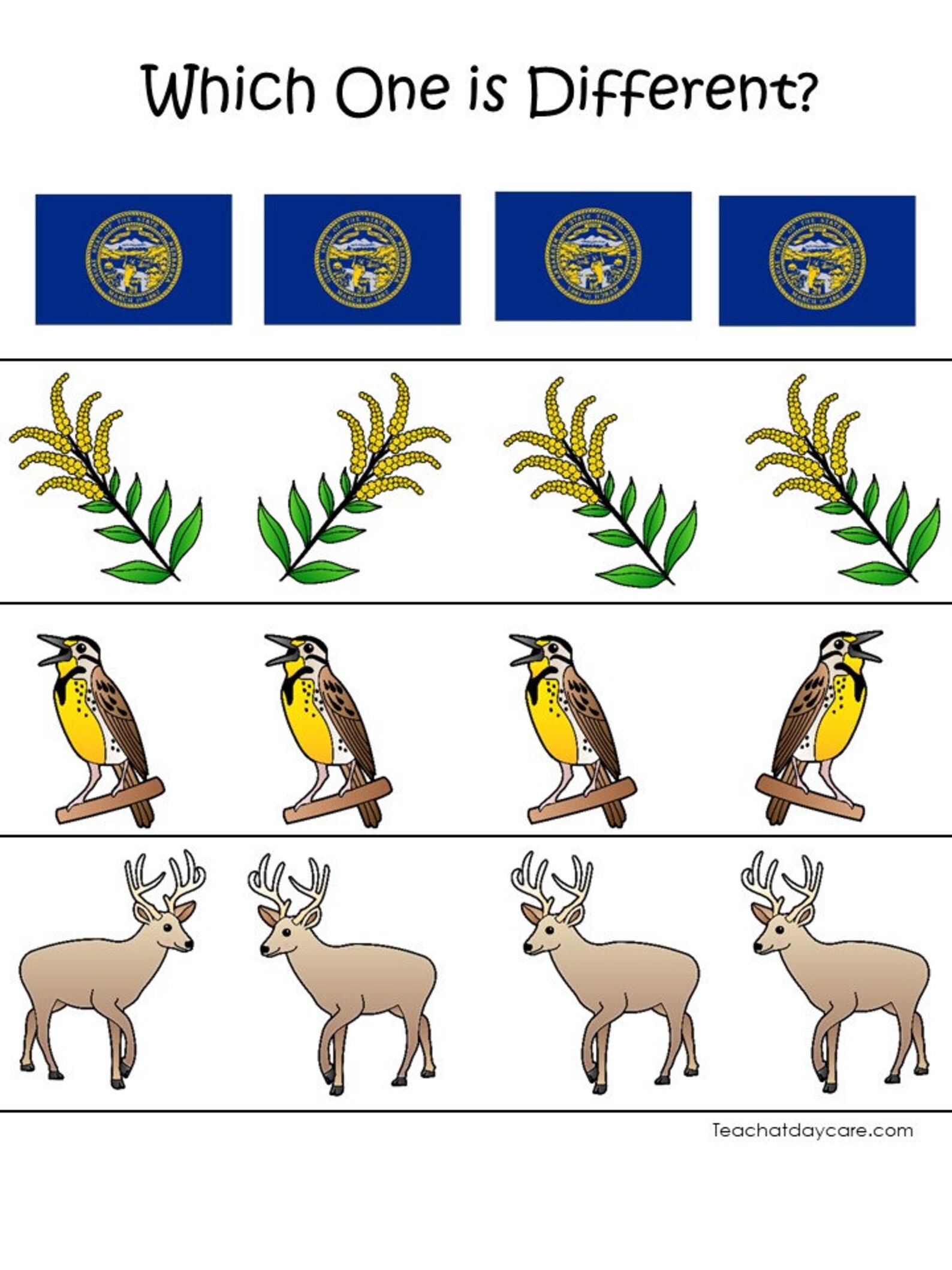 30 Nebraska State Symbols Themed Learning Games Download. ZIP - Etsy UK