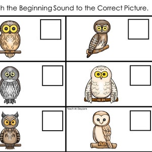30 Types of Owls Printable Preschool Educational Games Download. Games ...