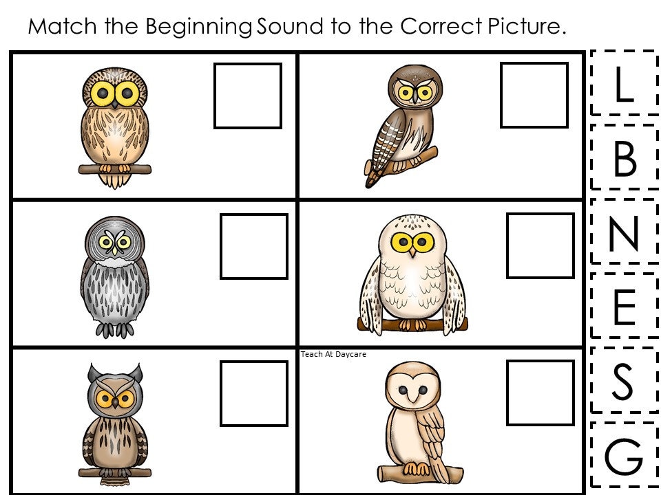 Owls Preschool Games & Activities, 30 Types (PDF Download) - Etsy