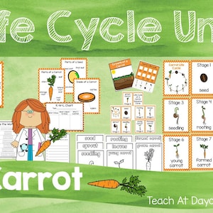 Life Cycle of a Carrot Science Curriculum Unit. Worksheets, Activities ...
