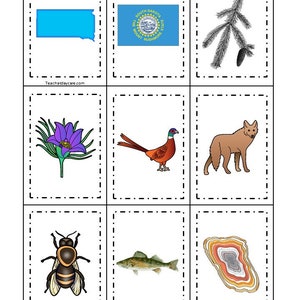 30 South Dakota State Symbols Themed Learning Games Download. ZIP File ...