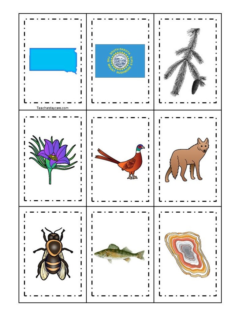 30 South Dakota State Symbols Themed Learning Games Download. | Etsy