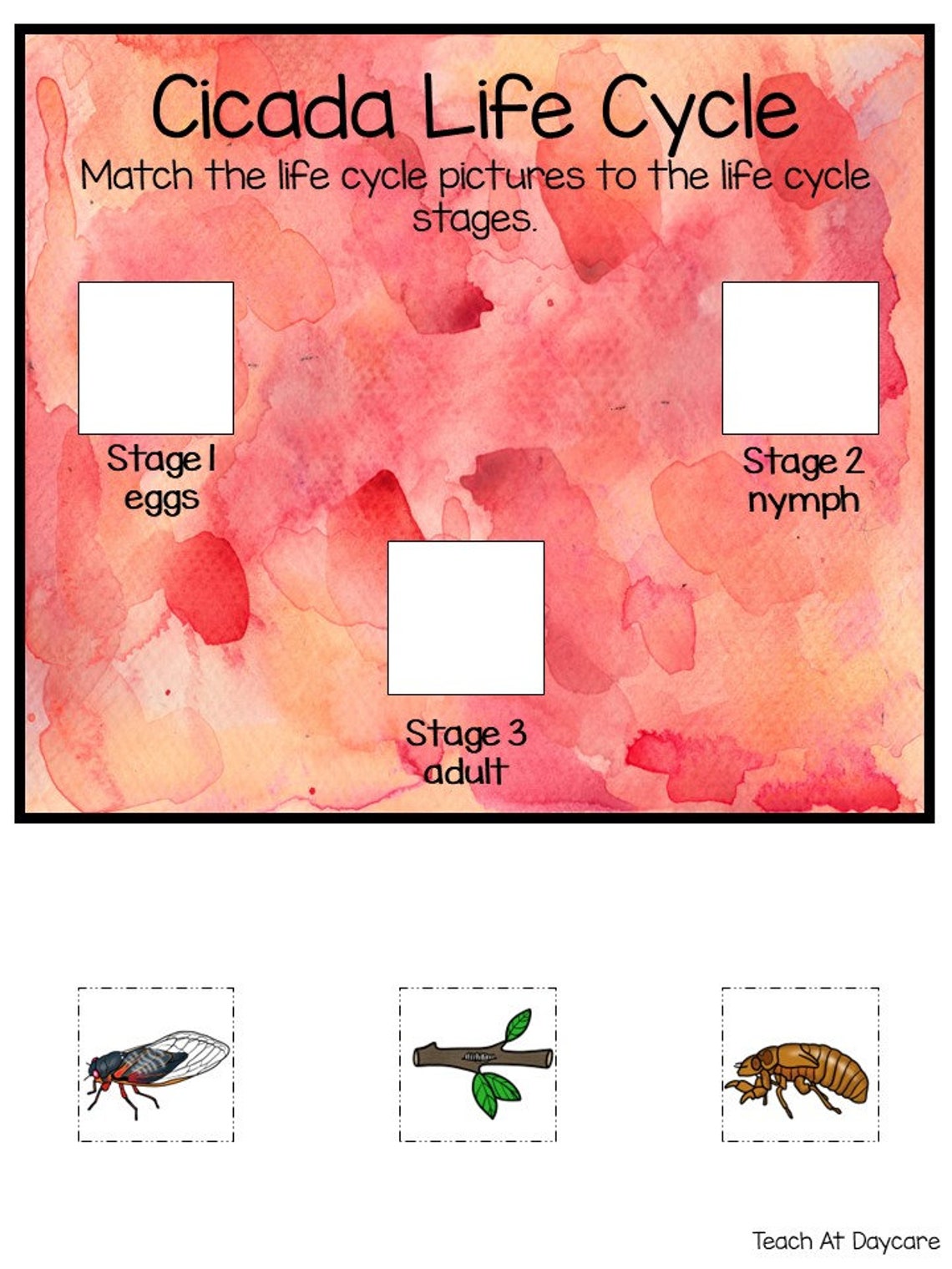 Life Cycle of a Cicada Science Curriculum Unit. Worksheets, Activities ...