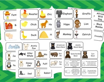 Colors and Shapes Curriculum Download. Preschool-kindergarten. | Etsy