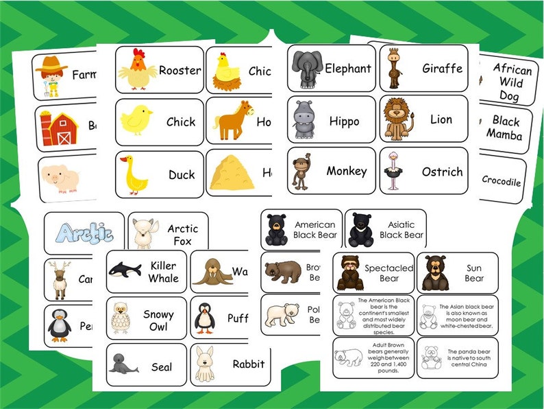 Animal Flashcards Curriculum Download. Preschool-kindergarten ...