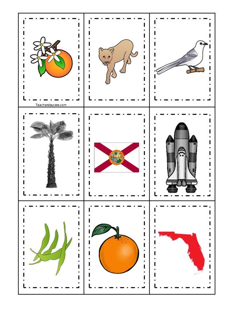30 Florida State Symbols Themed Learning Games Download. ZIP | Etsy