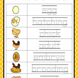 Life Cycle of a Chicken Science Curriculum Unit. Worksheets, Activities ...
