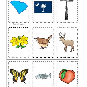 30 South Carolina State Symbols Themed Learning Games Download. ZIP ...