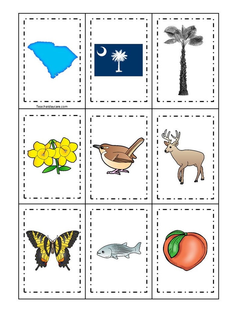 30 South Carolina State Symbols Themed Learning Games | Etsy