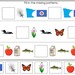 30 Minnesota State Symbols Themed Learning Games Download. ZIP - Etsy