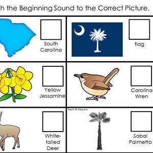 30 South Carolina State Symbols Themed Learning Games Download. ZIP ...
