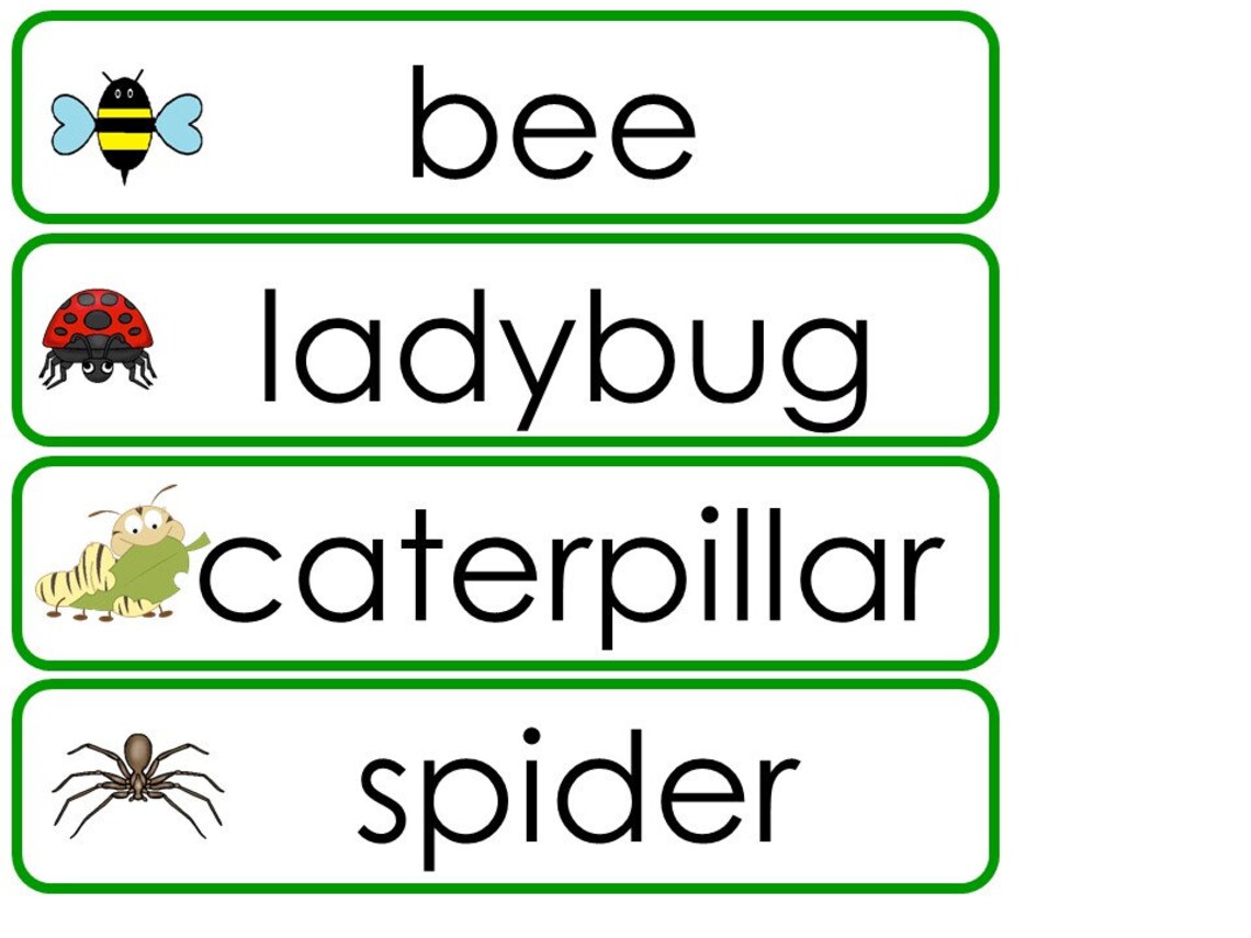 Bugs and Insects Single Week Themed Word Wall Set. Classroom - Etsy