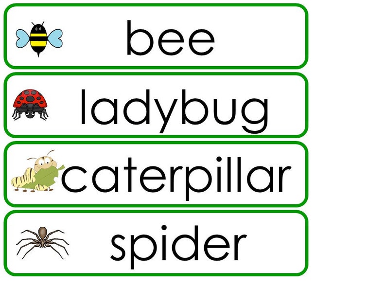 Bugs and Insects Word Wall Set, Preschool Classroom Decor (PDF) - Etsy