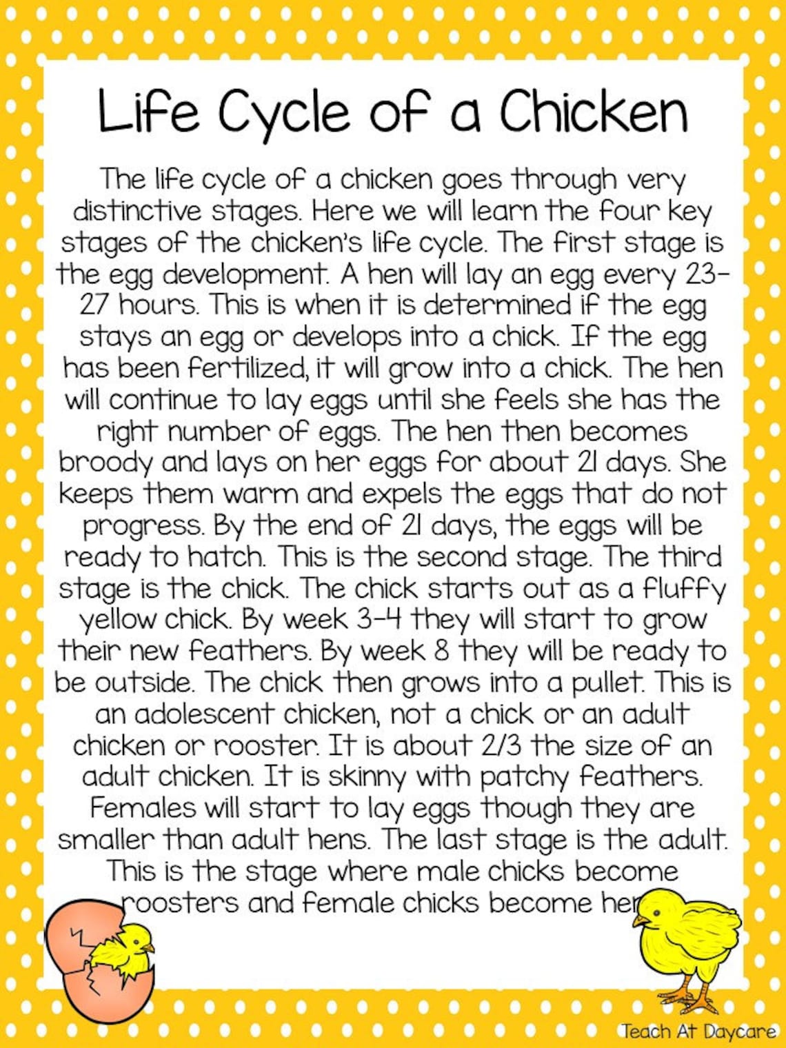 Life Cycle of a Chicken Science Curriculum Unit. Worksheets, Activities ...