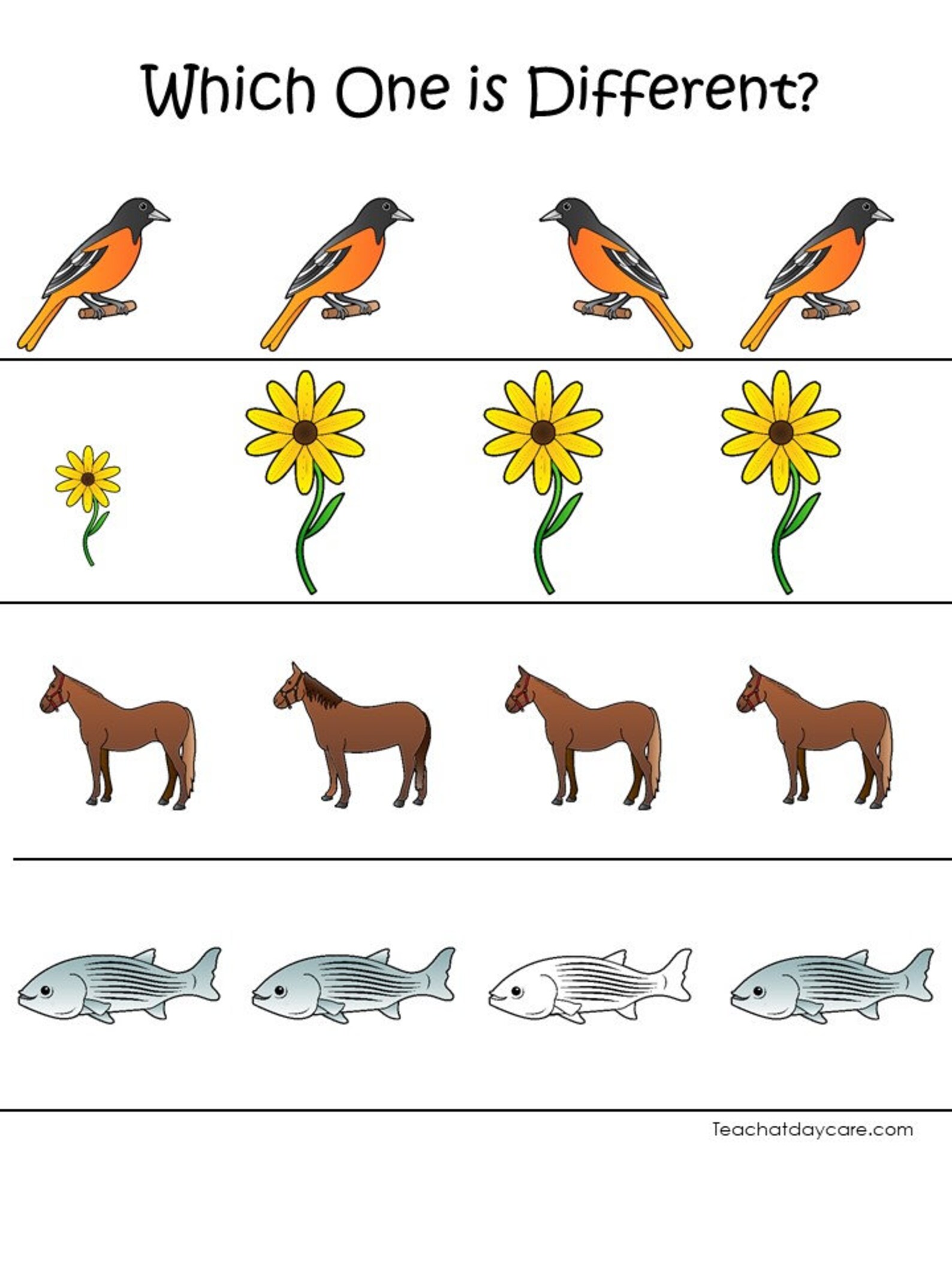 30 Maryland State Symbols themed Learning Games Download. ZIP | Etsy