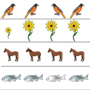 30 Maryland State Symbols Themed Learning Games Download. ZIP File ...