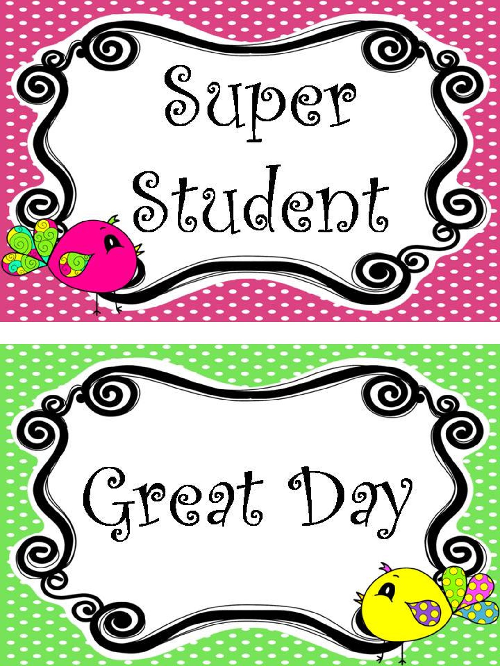 Bright Birdies Themed Printable Classroom Accessories and - Etsy