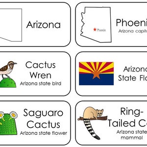 300 State Symbols Printable Flashcards. State, Capital, Flower, Mammal ...