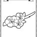 50 Printable State Flower Color Worksheets. Preschool and Kindergarten ...