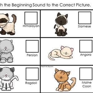 30 Printable Cats Preschool Educational Games Download. Games and ...
