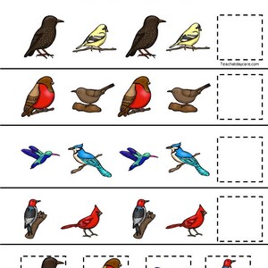 30 Printable Preschool Birds Learning Games Download. Games and ...