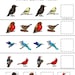 30 Printable Preschool Birds Learning Games Download. Games - Etsy