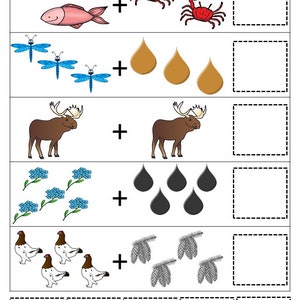 30 Alaska State Symbols Themed Learning Games Download. ZIP File ...