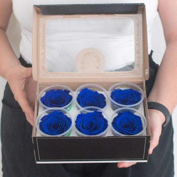 Deep Blue Roses - Etsy