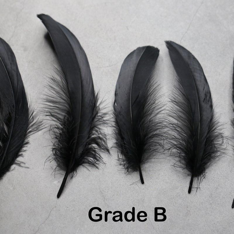 Large Feathers - Etsy