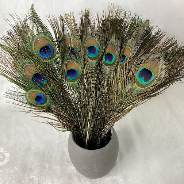 Buy Small Natural Peacock Feathers Online In India - Etsy India