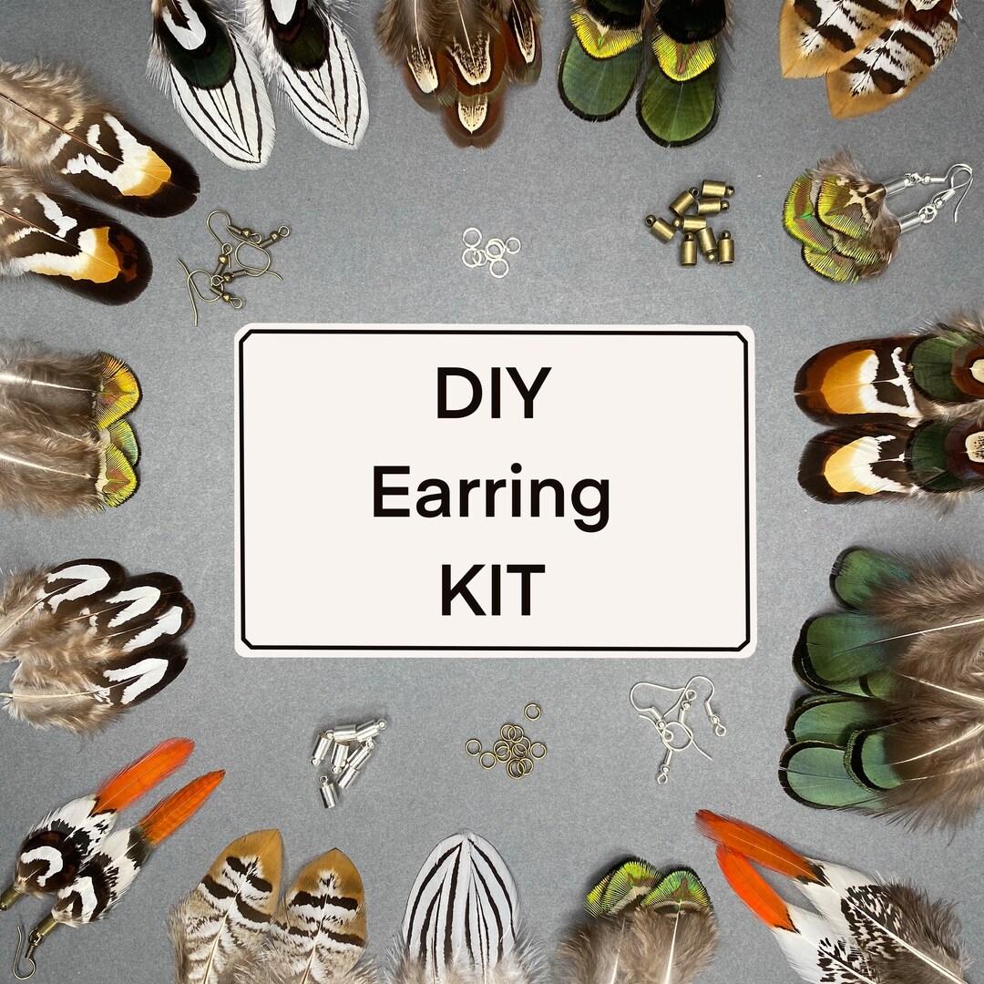 DIY Feather Earring Craft Kit for Adults, 90 Pieces Kit, Jewelry Making ...
