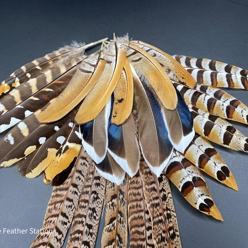 Goose Feathers Pins - Etsy UK