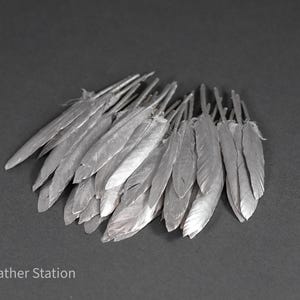 Clearance Last Chance! Silver Goose Feathers, 10-15 Cm, 4-6 Inch ...