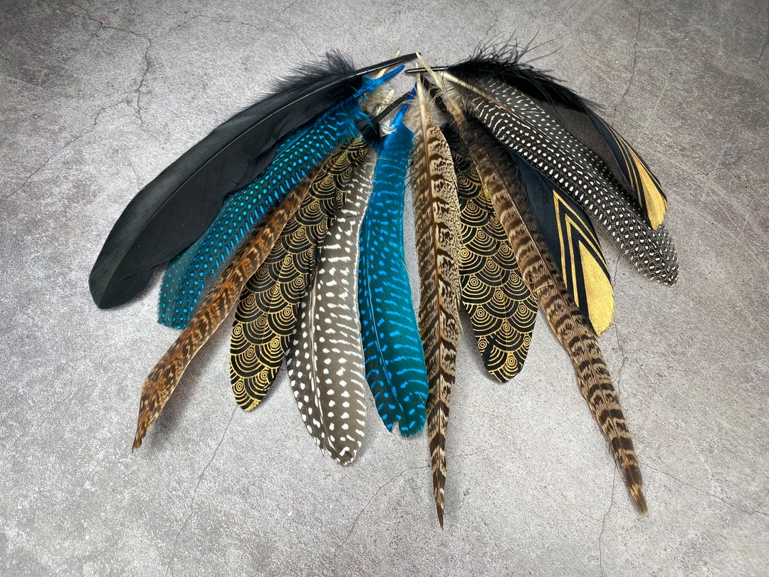 Collection of Large Feathers - 12 Pheasant and Goose Feathers, Dyed and ...