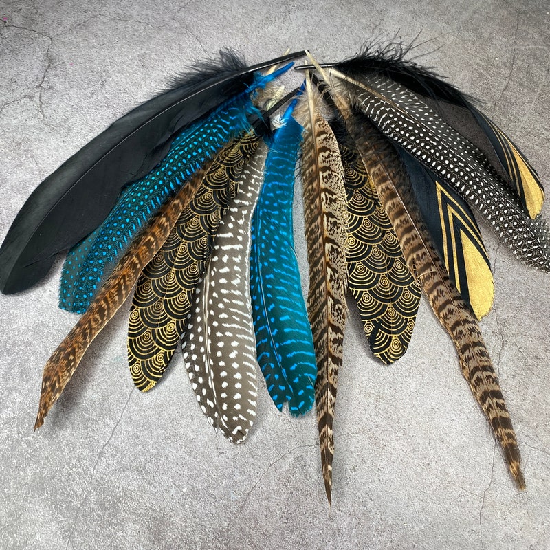 Large Feathers - Etsy