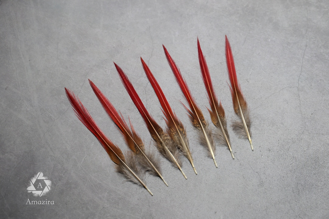 Natural Long Red Tip Golden Pheasant Feathers, 3 - 4 Inches, 8 - 10 Cm ...