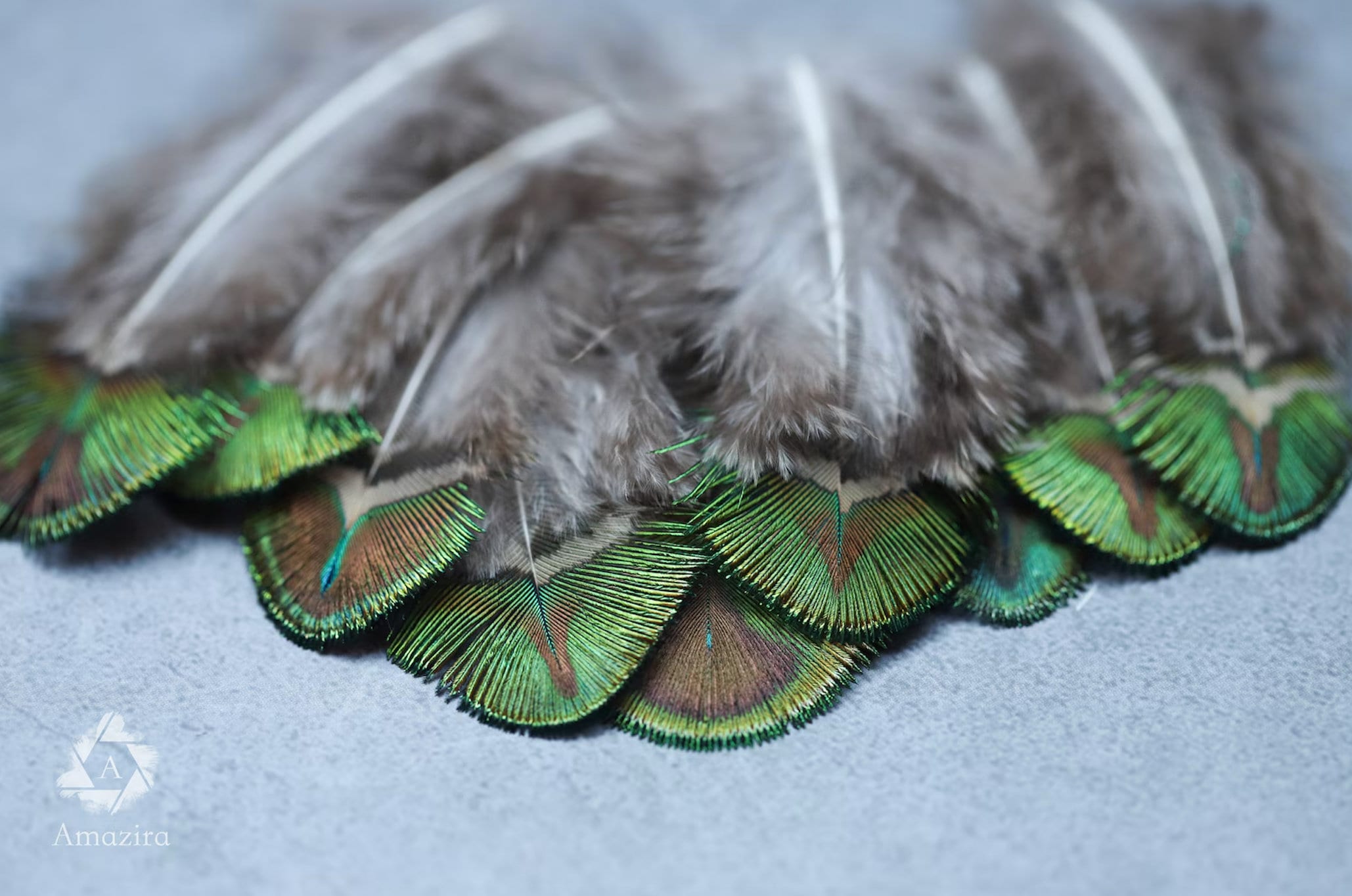 Feathers For Crafting Real Peacock Feather 25-30cm | 10-12"| UK ...