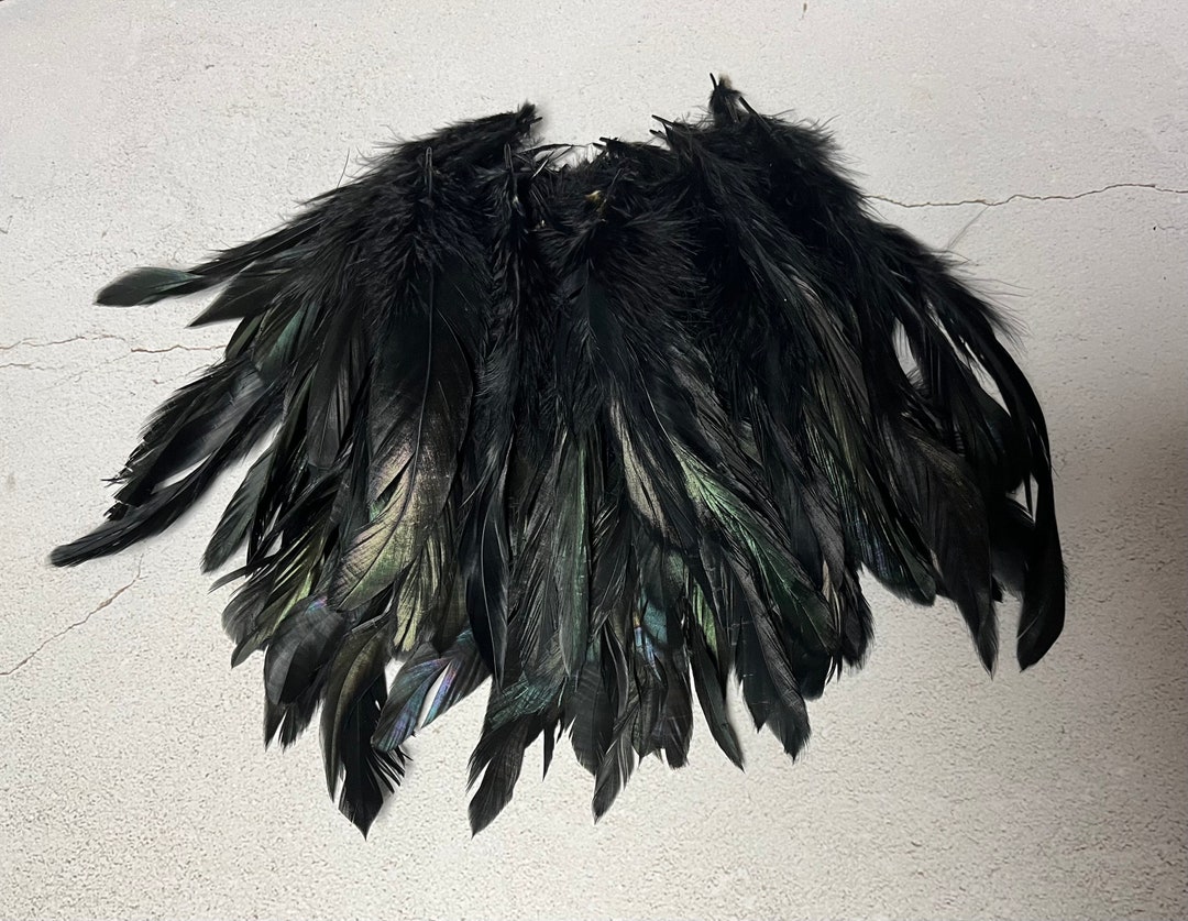 100 DEFECTIVE Rooster Feathers, Cheap Grade B Bulk Feathers, Black and ...