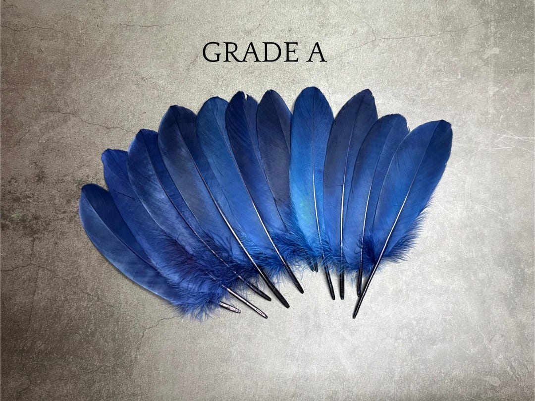 Real Large Dyed Blue Feathers, 6-8 Inches, Loose Colourful Electric ...