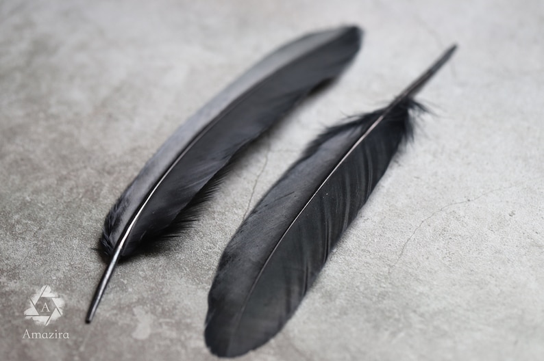 100 PACK DEFECTIVE! Large Black Feathers, 6 - 7 Inches, Black Feathers ...