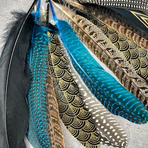 Collection of Large Feathers - 12 Pheasant and Goose Feathers, Dyed and ...