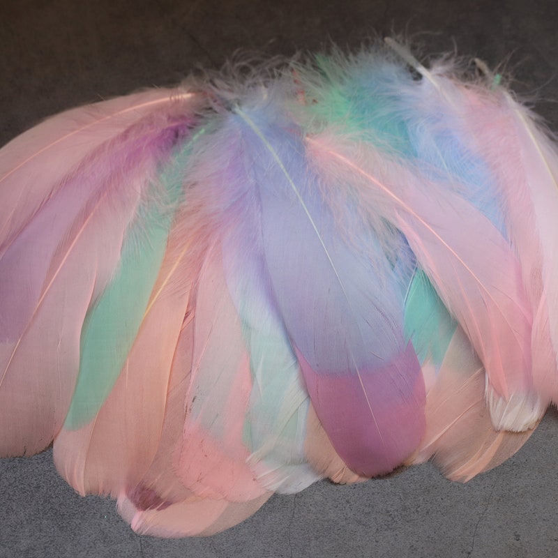 Light Blue Feathers - Etsy