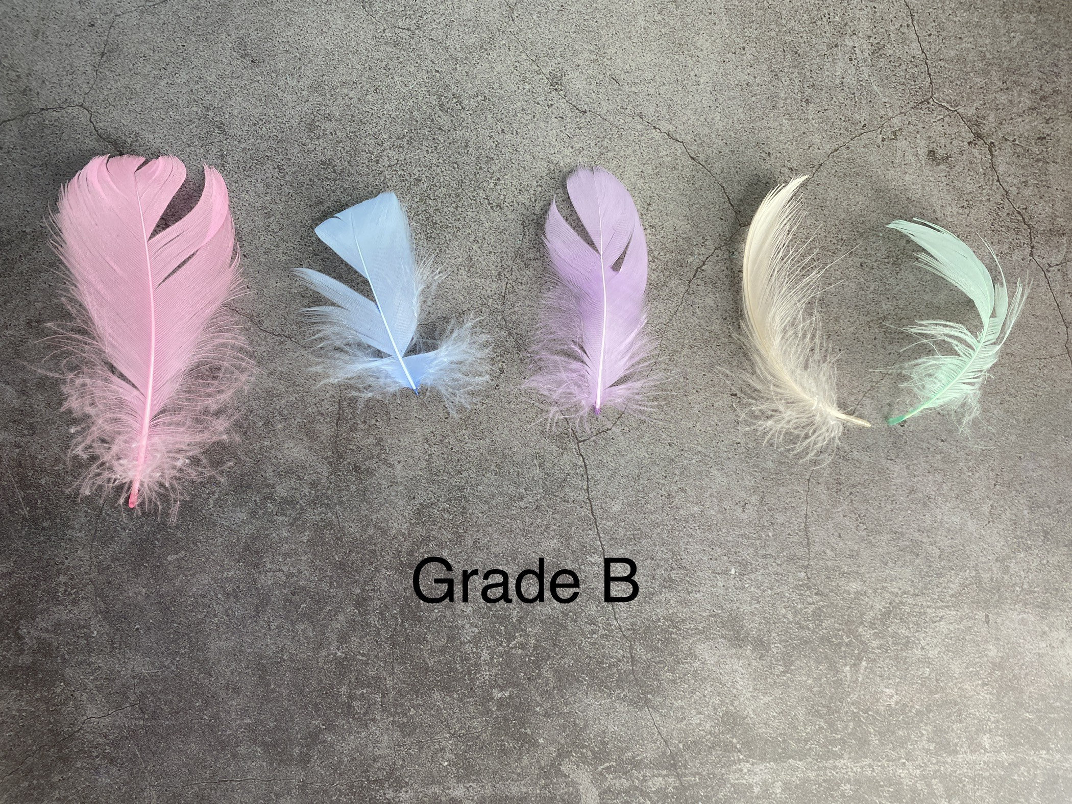 100 Feathers Pack! Baby Colour Feathers, Mixed Colours Nagori Goose ...