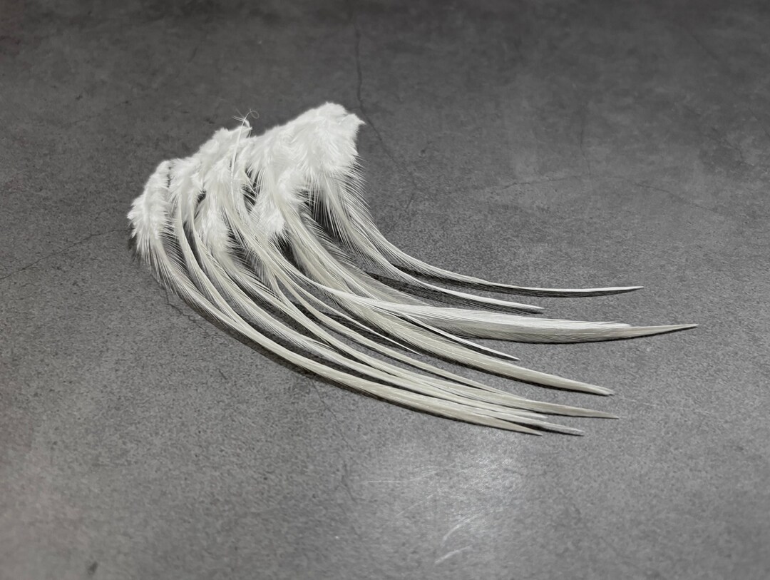 10 Rare White Tail Rooster Feathers 15 Cm 6 Inches, Best Quality Bulk ...